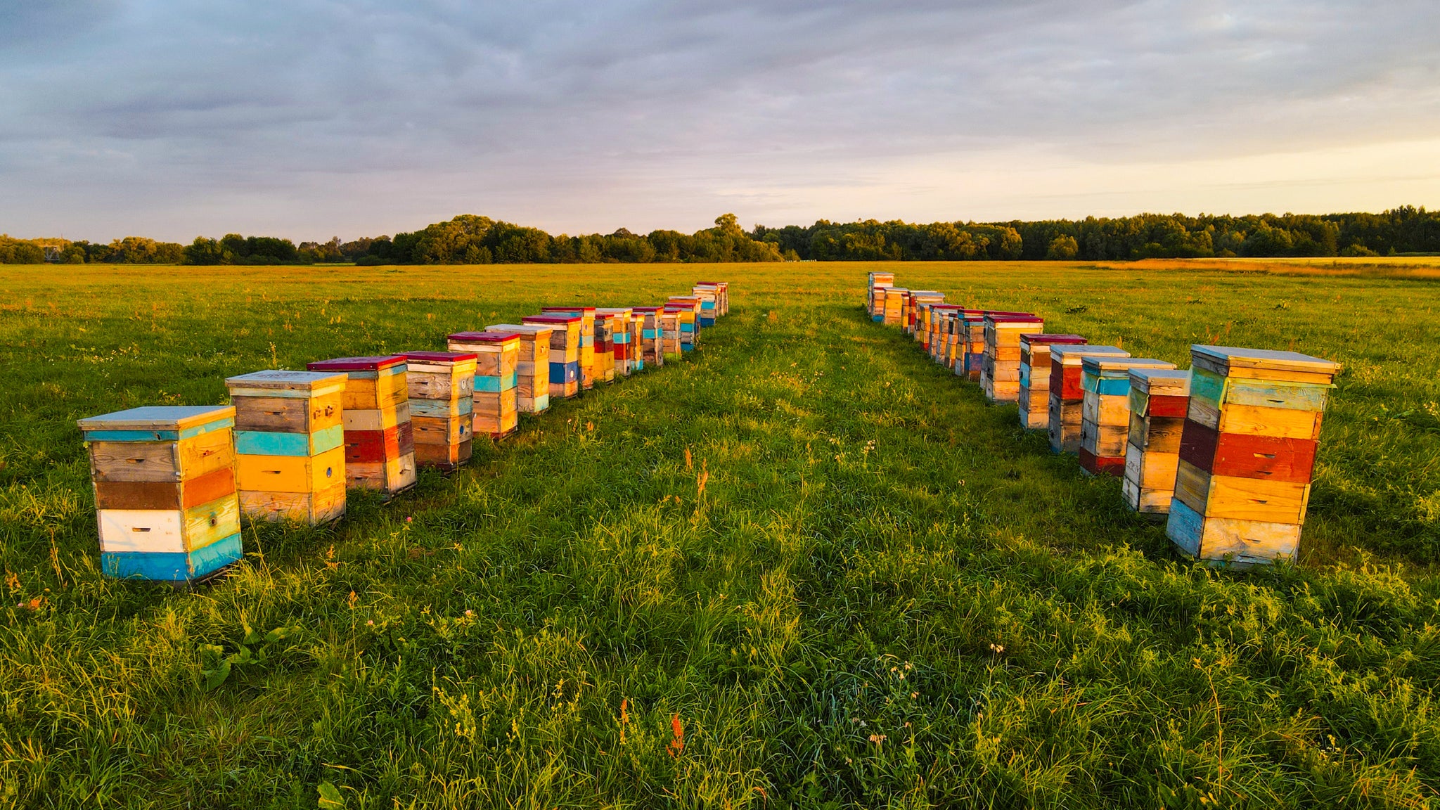 BeeFit Beekeeping