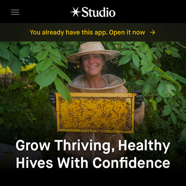 Beekeeper Thrive - Your Beekeeping Mentor in Your Pocket! – BeeFit Beekeeping